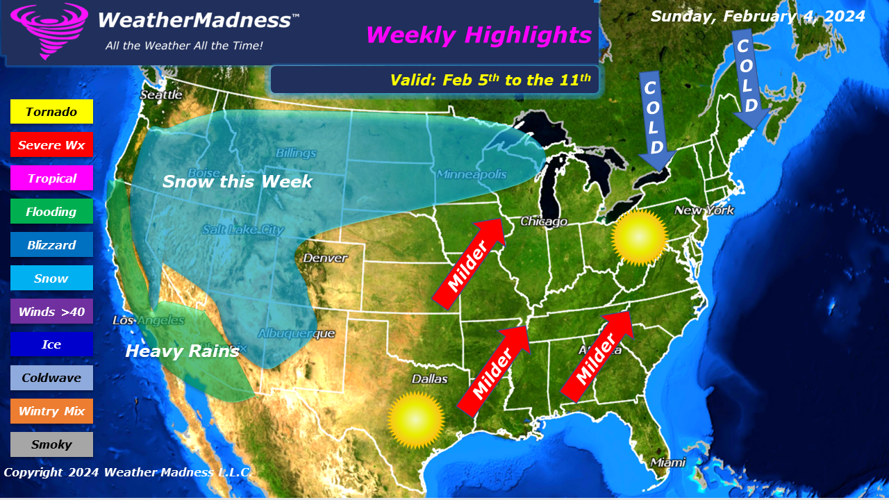 Weekly Highlights for February 5 to 11